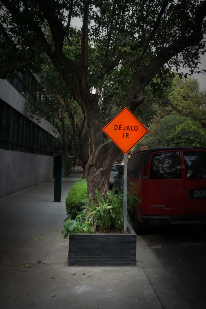 Roadsigns – Olivia Steele