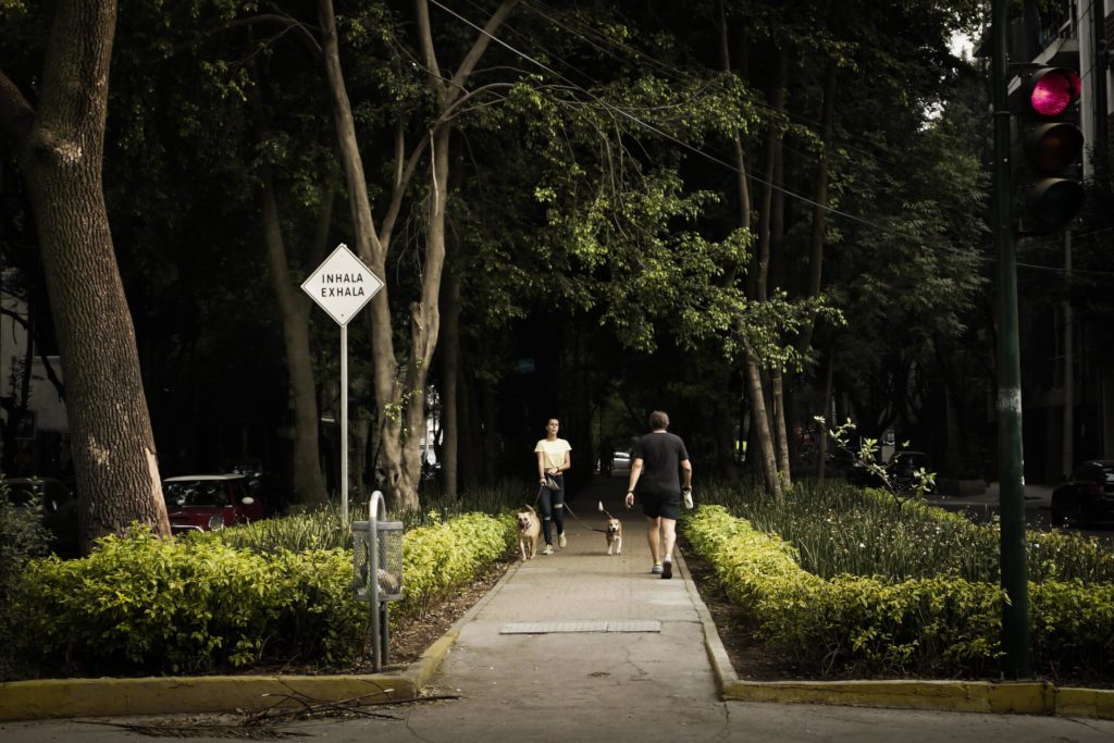 Roadsigns – Olivia Steele