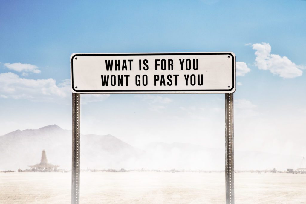 Roadsigns – Olivia Steele