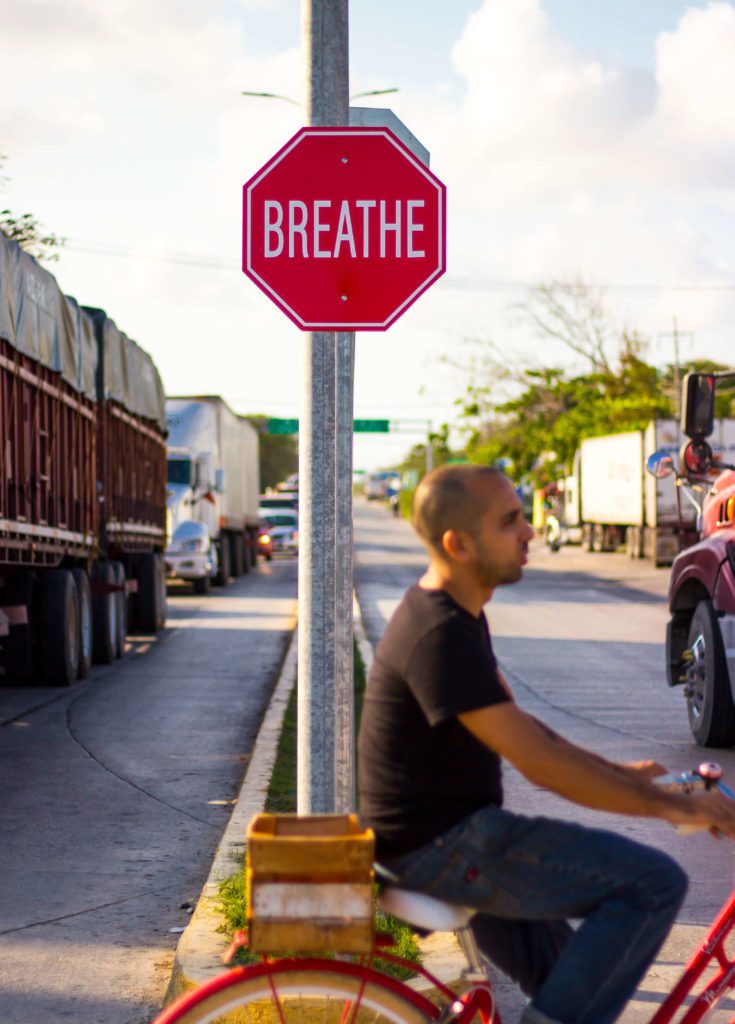 Roadsigns – Olivia Steele