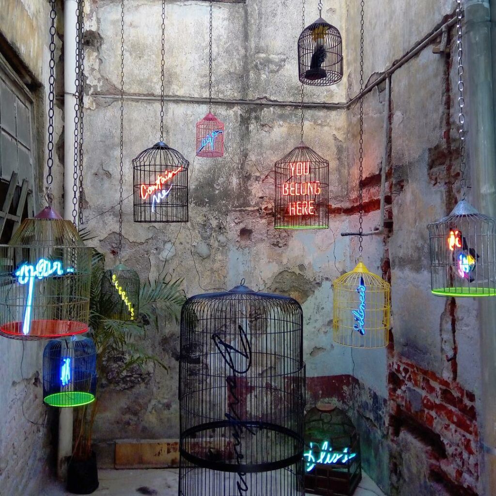 BIRDCAGES – Olivia Steele