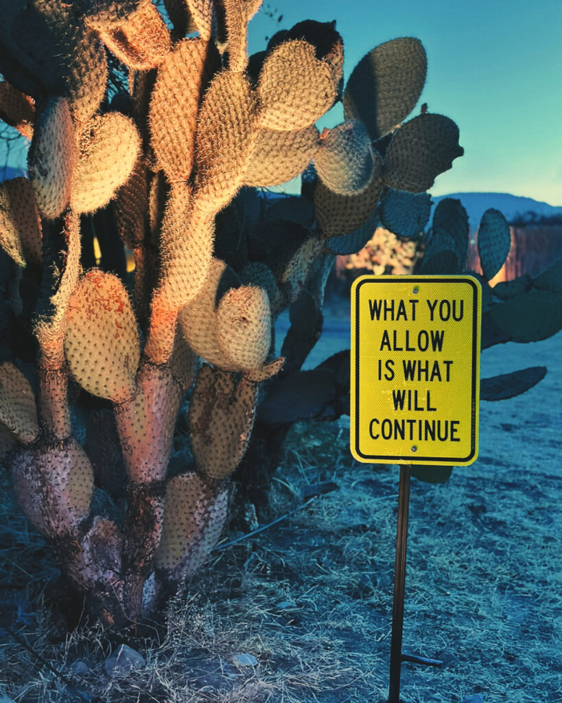 Roadsigns – Olivia Steele